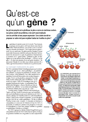 3 - cours - 1 Génétique: Croisements Recombinaison cM Génomique ...