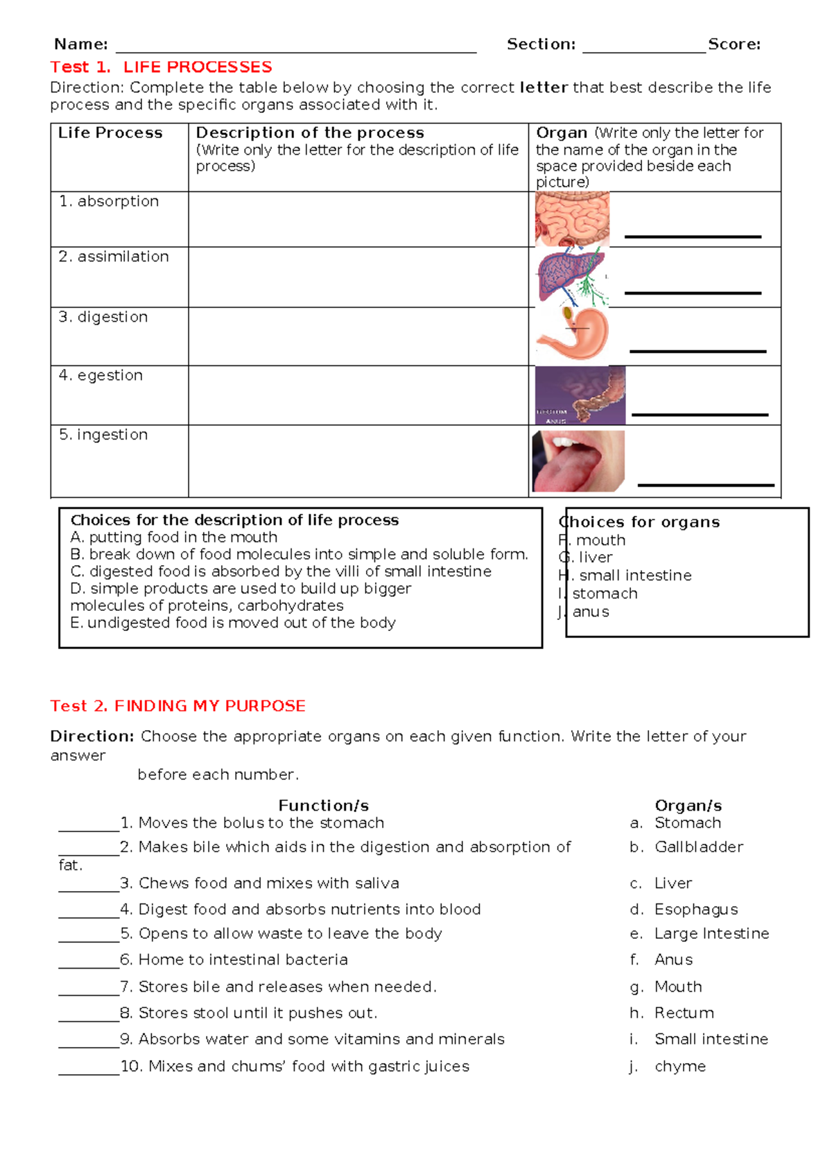 Digestive System Quiz: Life Processes and Organ Functions - Studocu