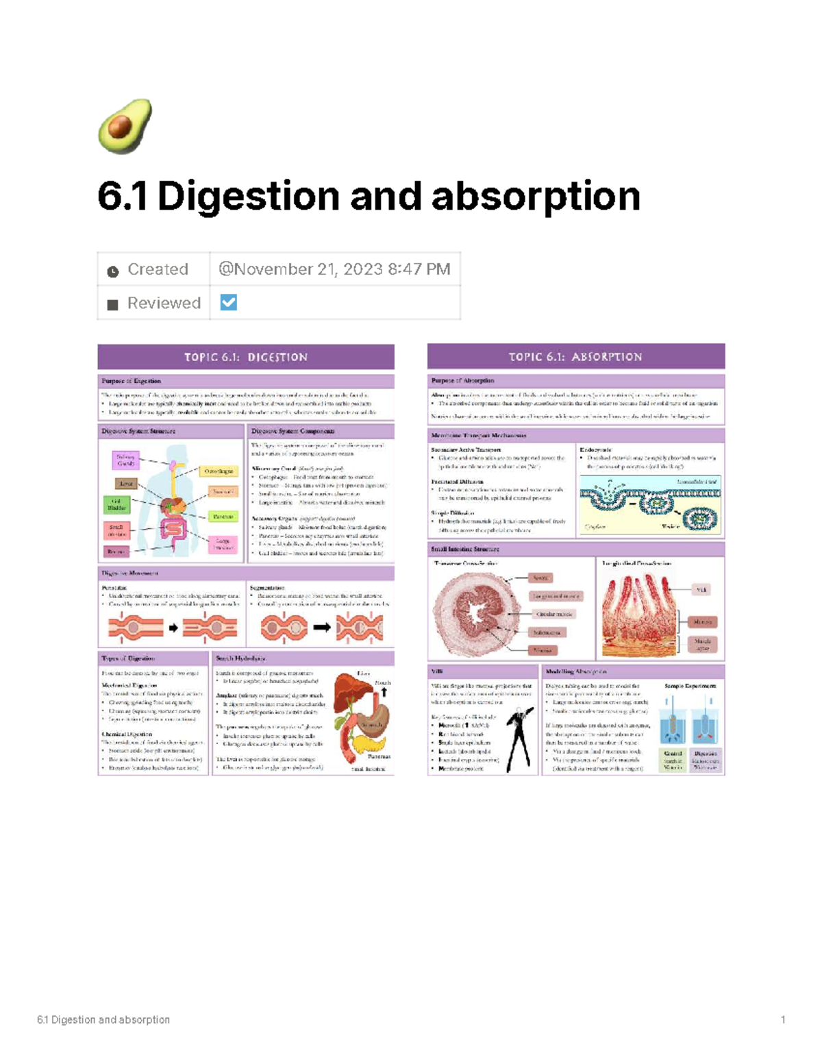 6.1 Digestion and Absorption: Key Concepts and Mechanisms - Studocu