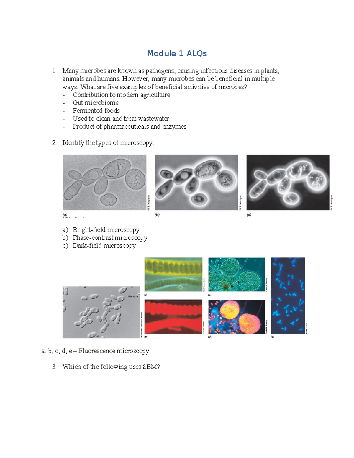 Module 1 ALQs - coursework - Module 1 ALQs 1. Many microbes are known ...