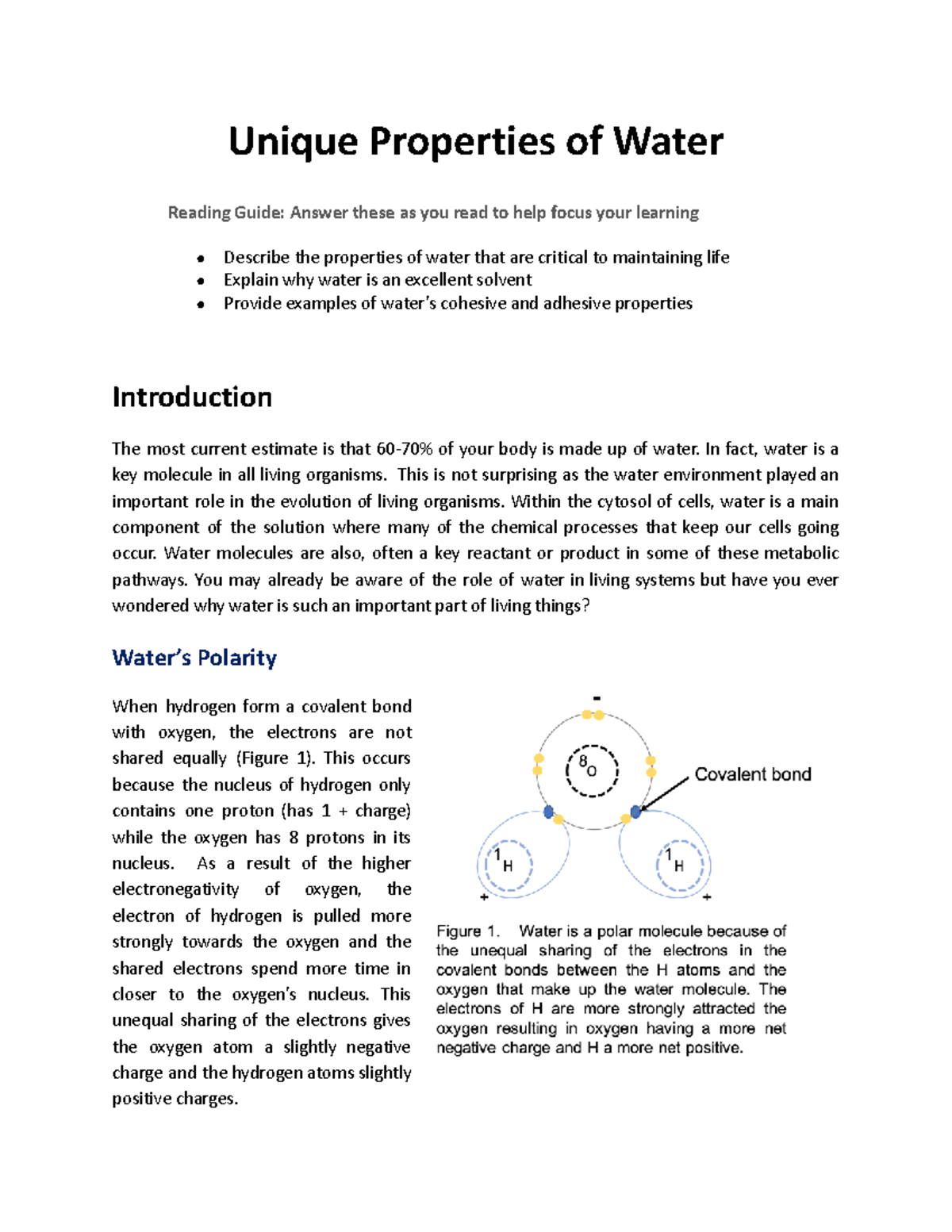 Unique Properties of Water: Understanding Life's Essential Solvent ...