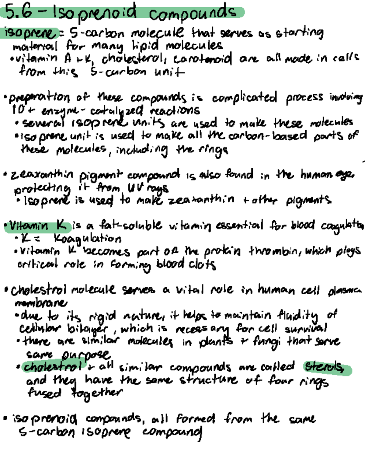 Isoprenoid Compounds: Structure, Functions, and Biological Roles (BIO ...