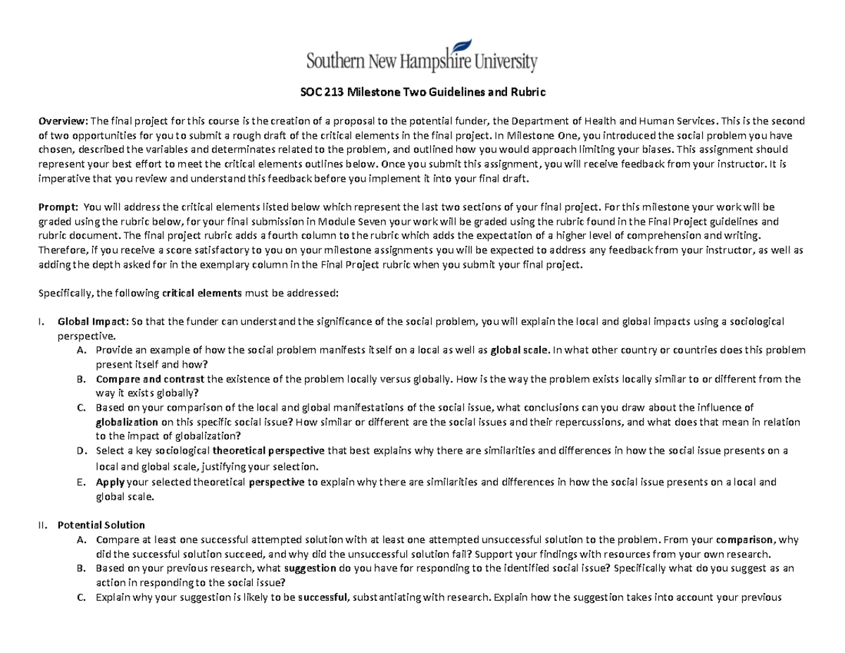 SOC 213 Milestone Two: Strategies for Analyzing Global Social Issues ...