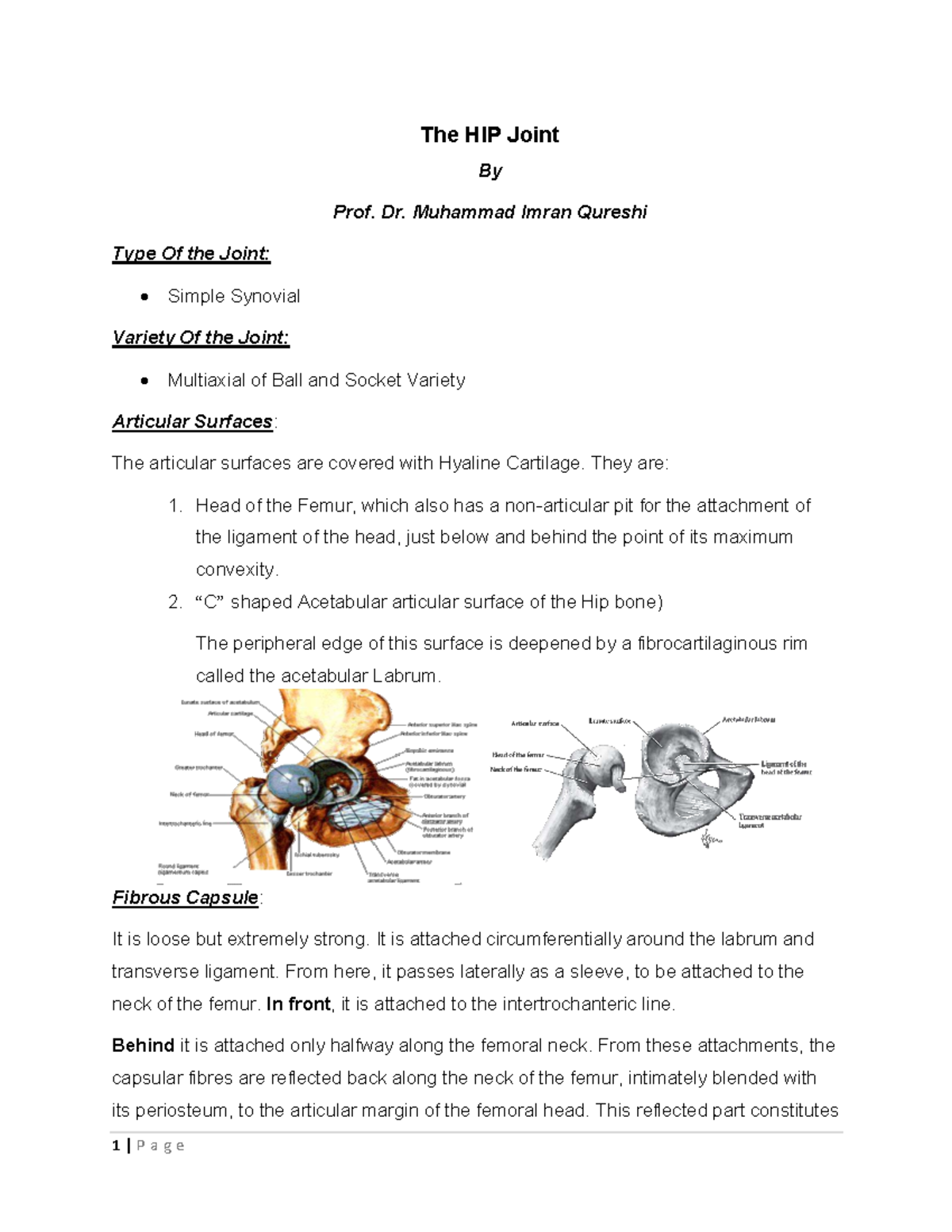 Hip Joint – II Notes: Anatomy, Movements, and Stability - Studocu