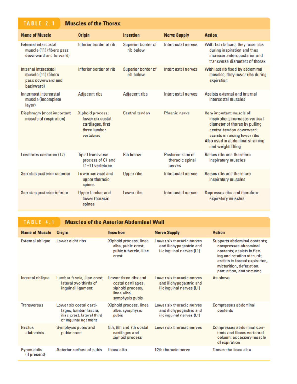 Moina-Snells - Summary of Muscles in Snell's Clinical Anatomy (Final ...