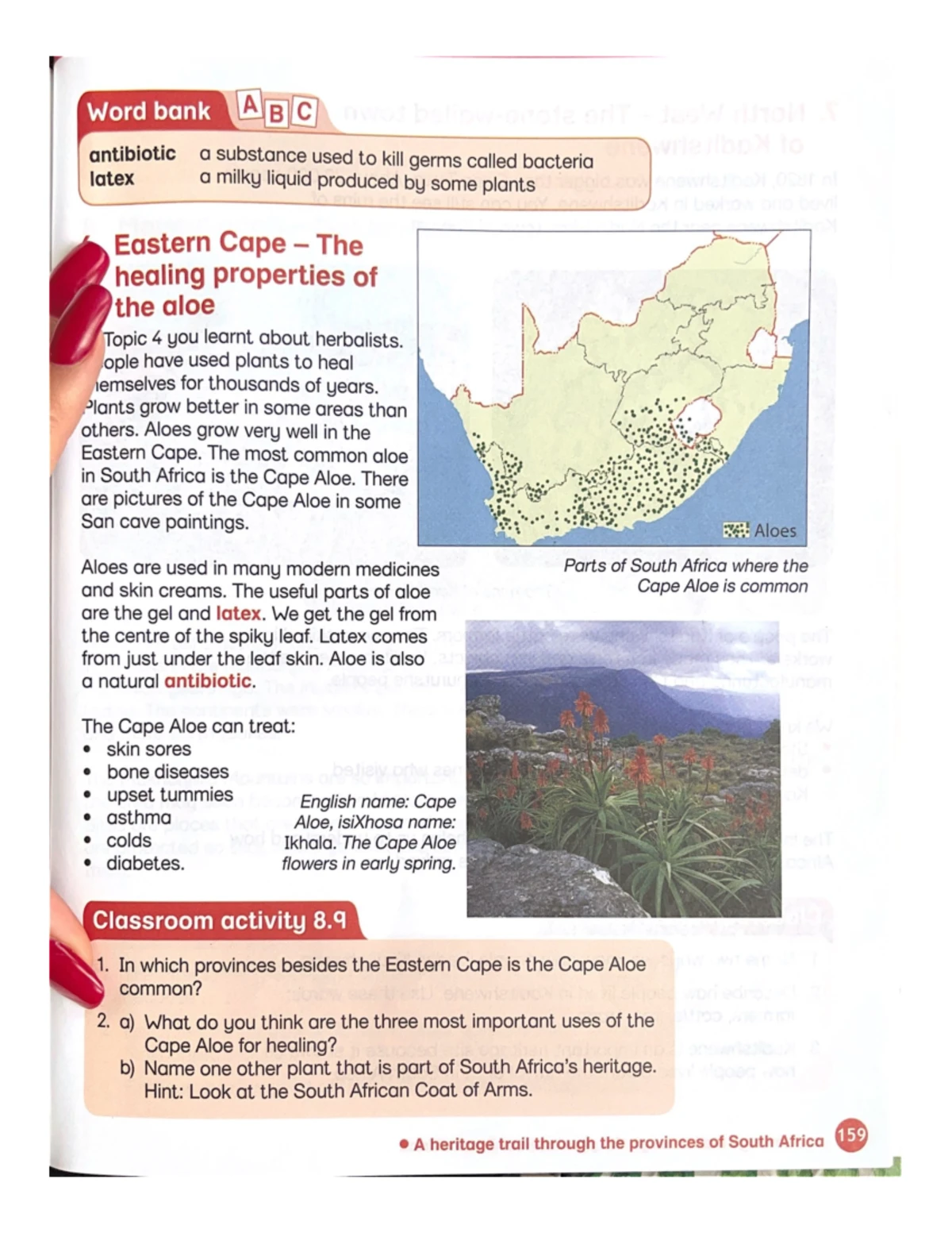 2019 Nov Exam 1 - Exam revision - Laerskool Van Dyk Primary Ekhurhuleni ...