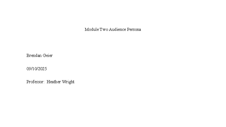Module 2 Audience Persona: DataNanny for Small Business Users - Studocu