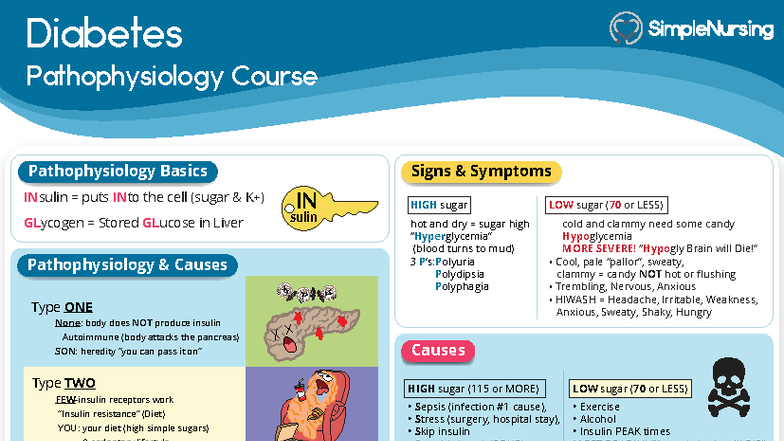 Diabetes Pathophysiology: Causes, Signs, and Lab Insights - Studocu