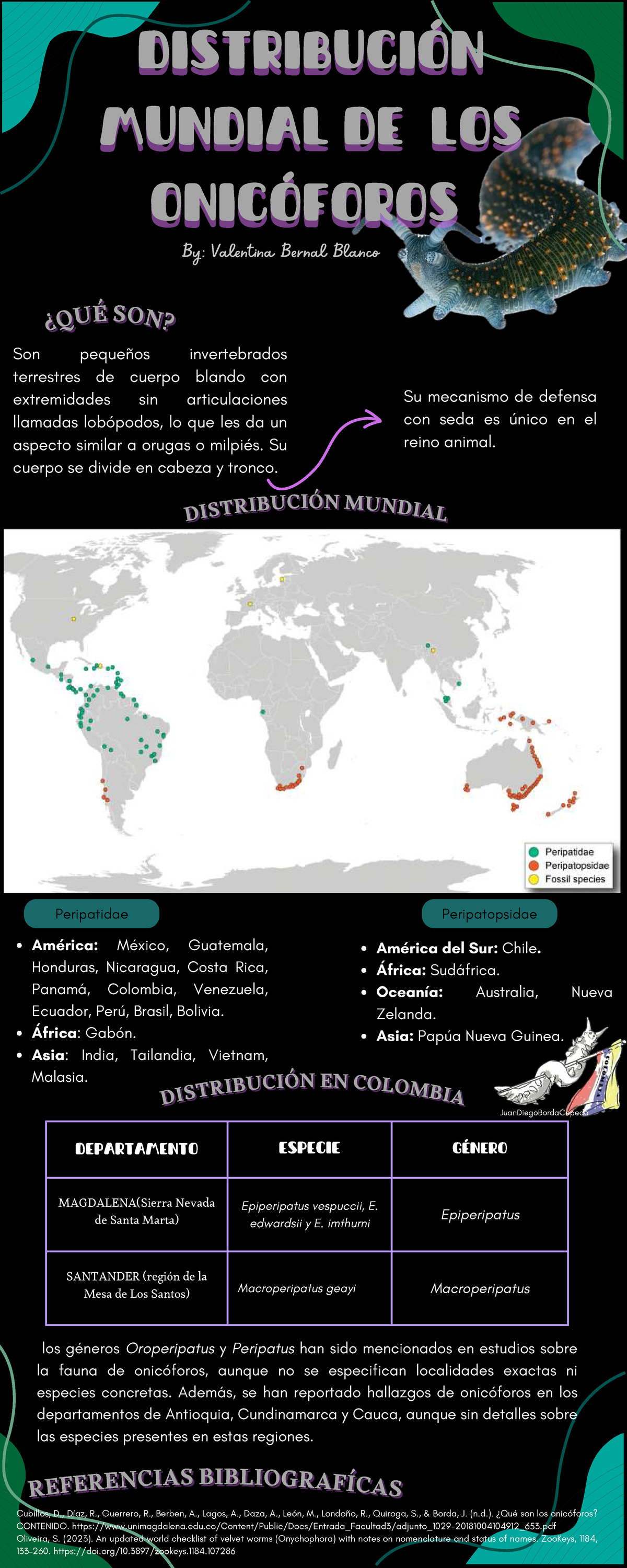 Bernal O - INFOGRAFIA ONICOFOROS - Peripatidae Peripatopsidae ...