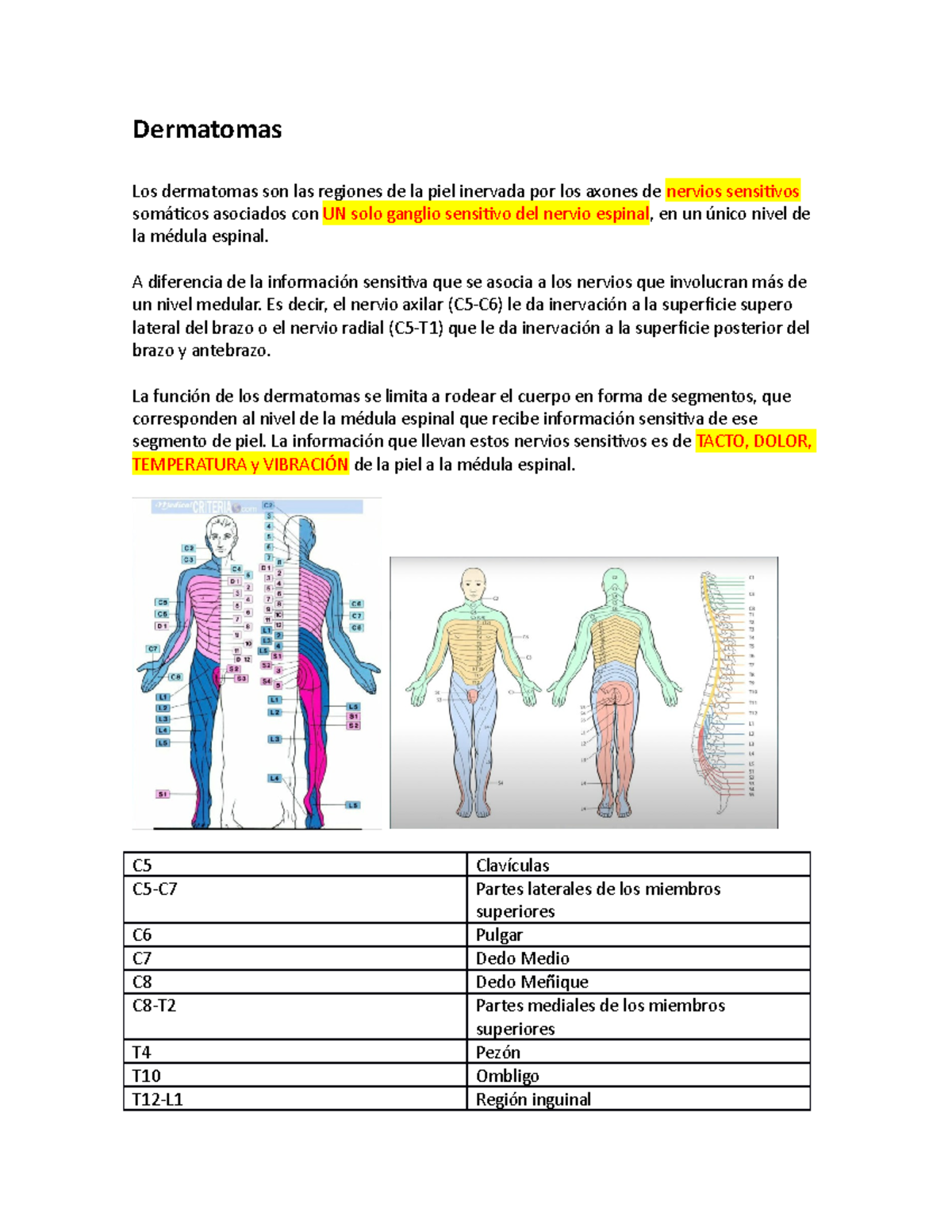 Dermatomas y miotomas - Dermatomas Los dermatomas son las regiones de ...