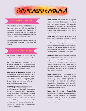 Tecnica TA - manejo y toma correcta de la tension arterial - Vol. 59, N ...