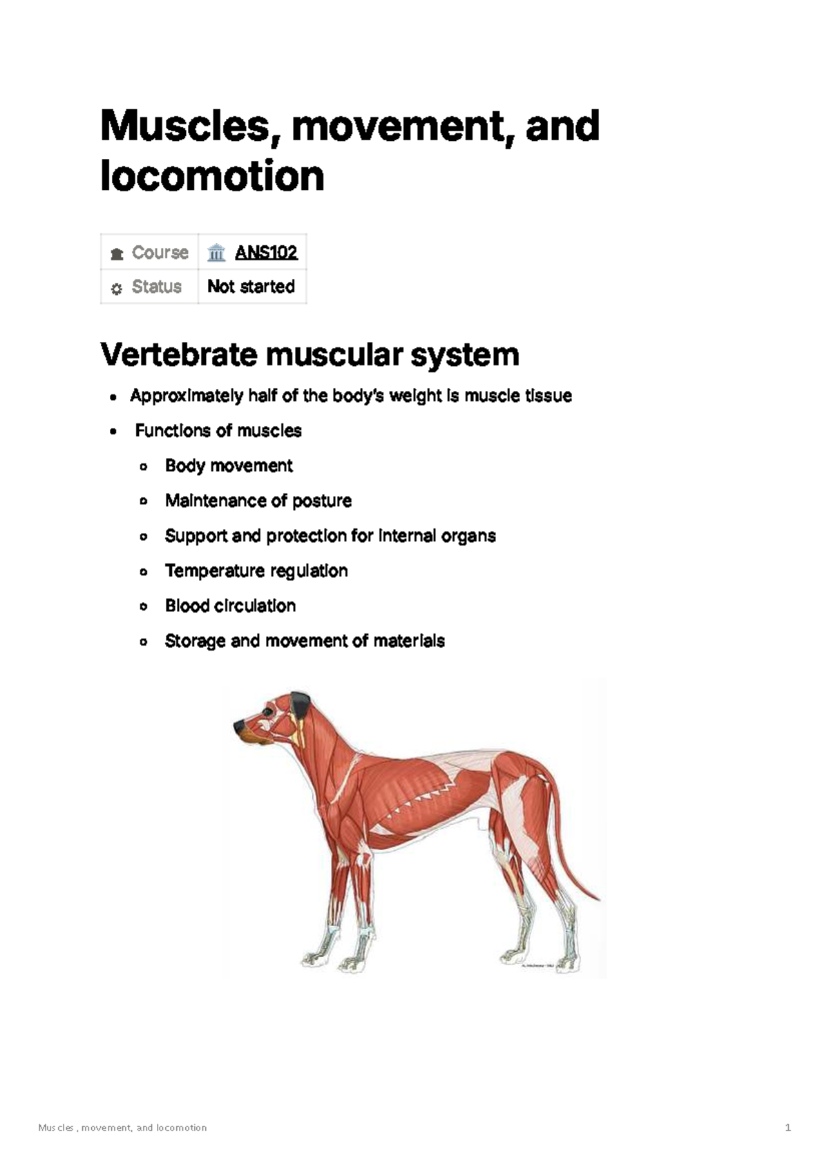 Muscles, Movement, and Locomotion: ANS102 Study Guide - Studocu