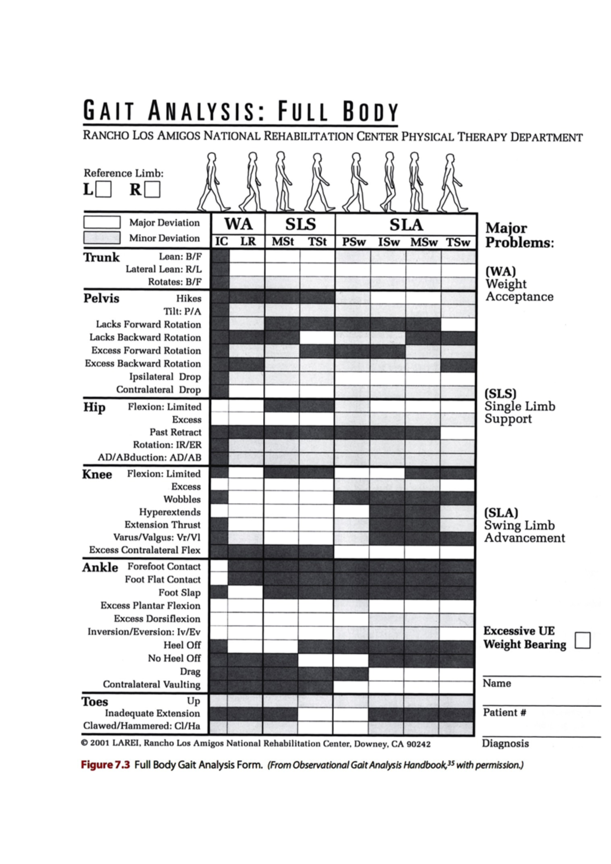 RLA GAIT Analysis Template: Rancho Los Amigos Rehabilitation Center ...