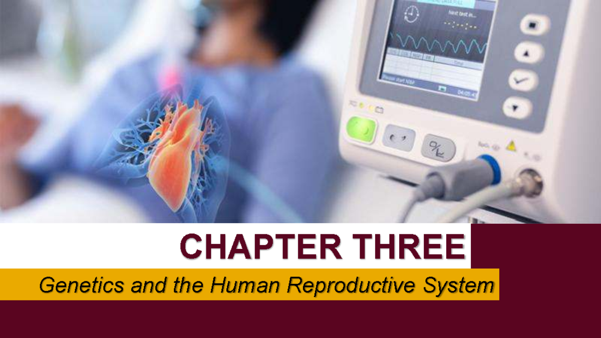 Human Physiology for Health Professions: Reproductive System Overview ...