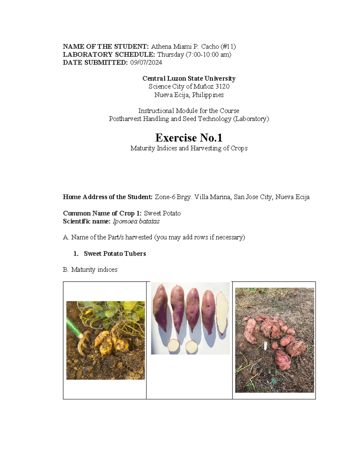 Exercise 1. Maturity Indices and Harvesting of Crops - NAME OF THE ...