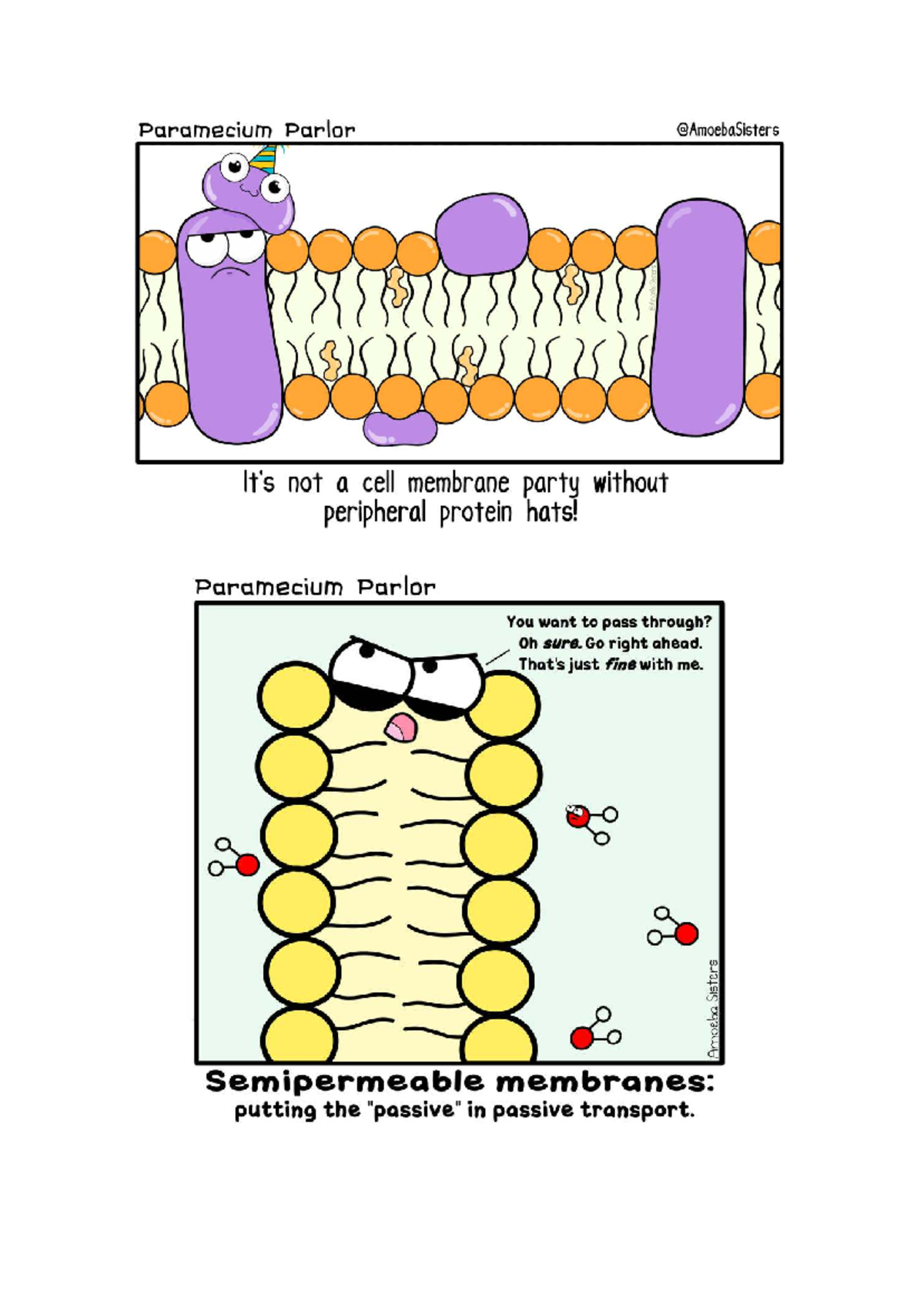 MEME CELL Membrane - dont have - Ciencias Sociales - Paramecium Parlor ...