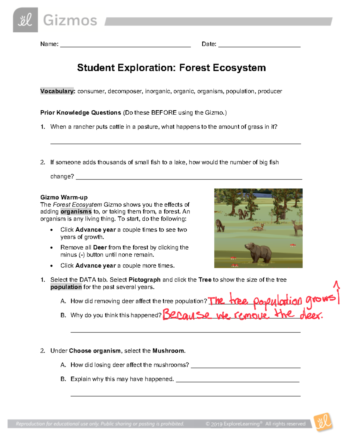 Ecological Relationships Worksheet Answer Key
