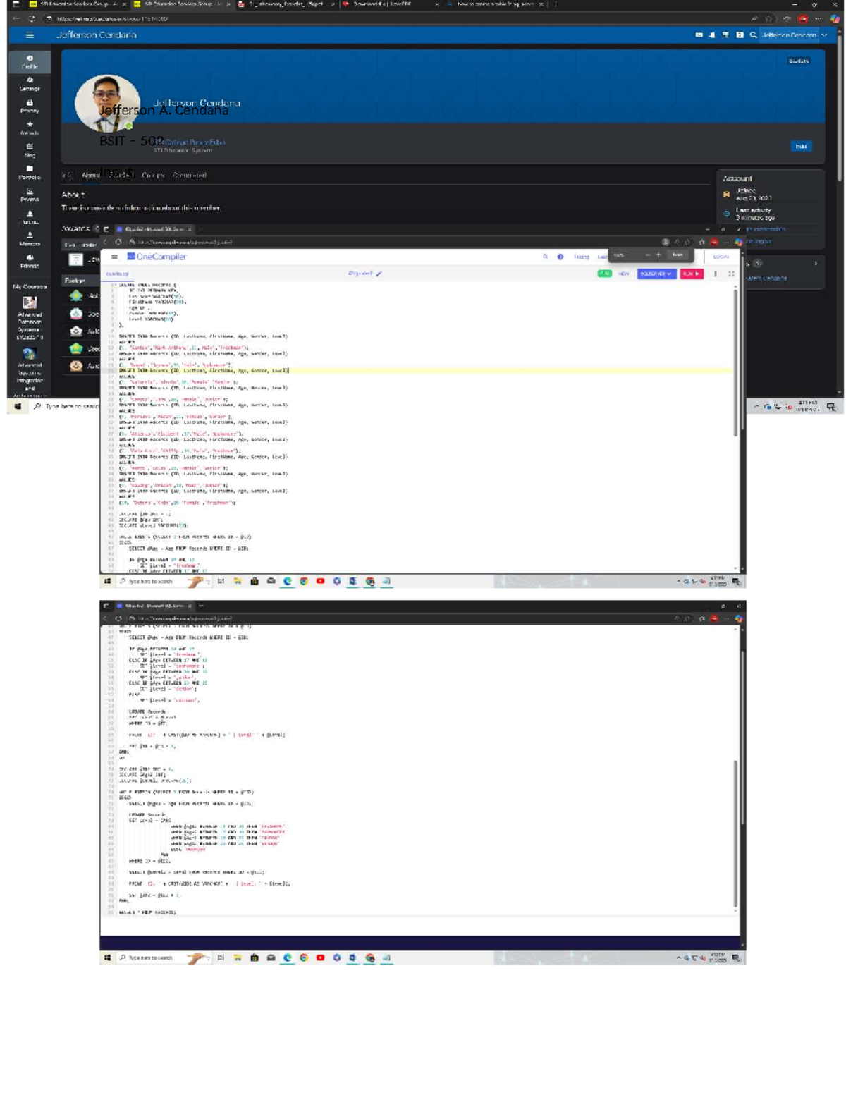 BSIT 502 Lab Exercise: SQL Input/Output Operations - Studocu