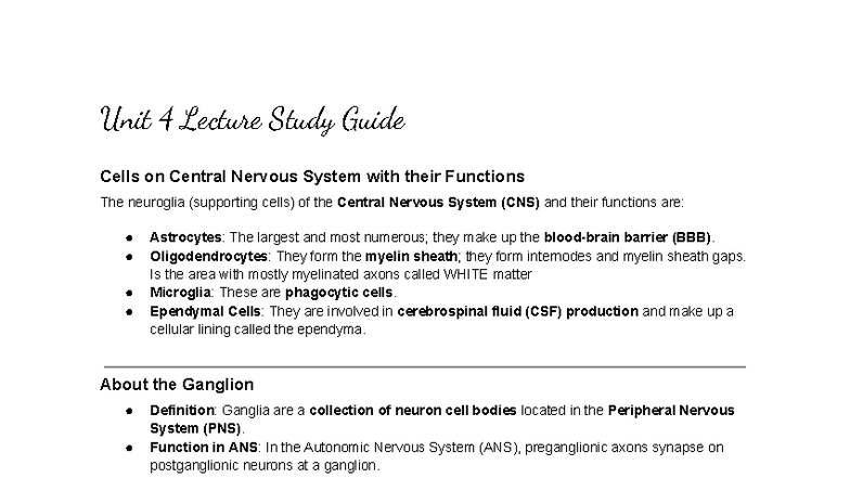 Unit 4 Lecture Study Guide: Nervous System Structure & Functions - Studocu