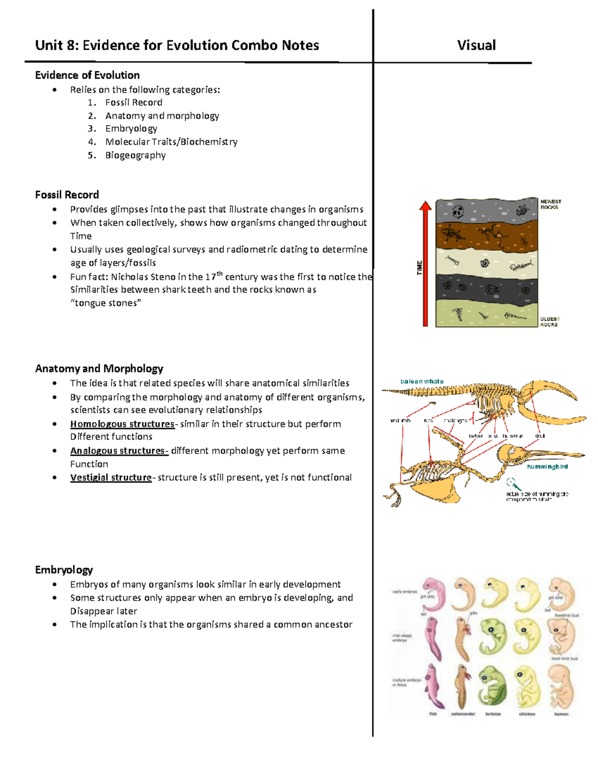 01 Evidence OF Evolution Combo Notes - Unit 8 : Evidence for Evolution ...