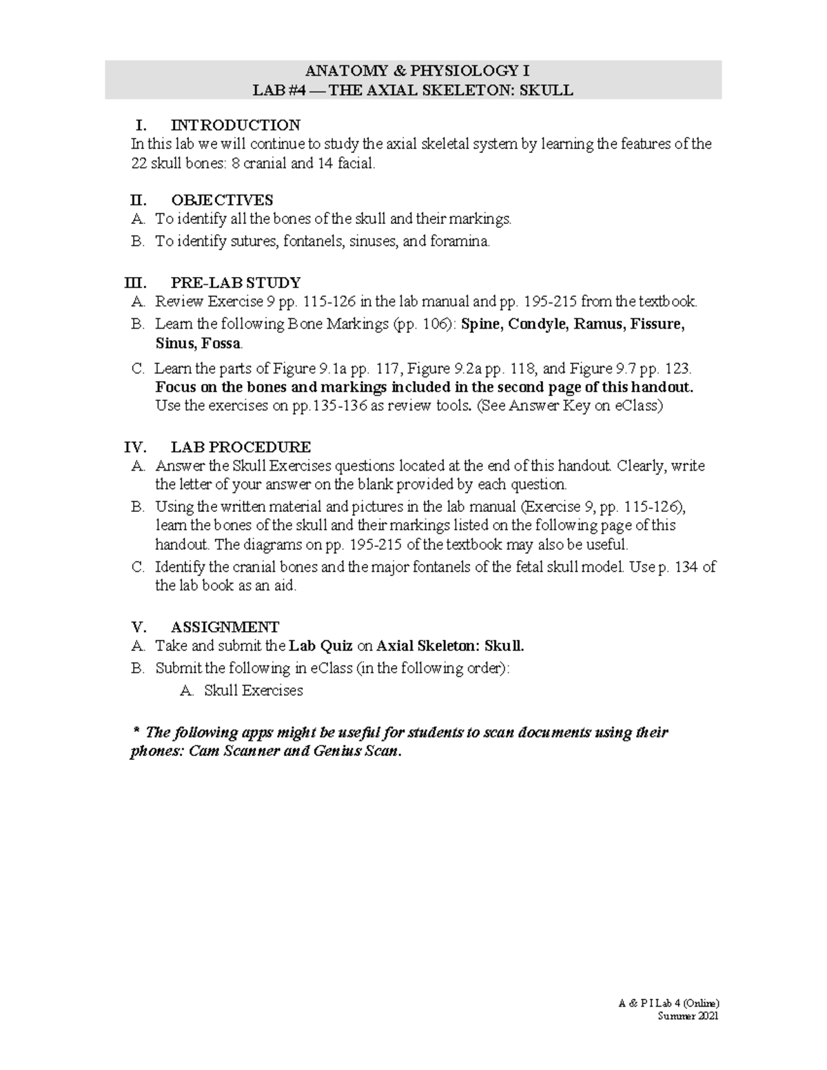 A & P I Lab 4: Axial Skeleton - Skull Study Guide and Assignments - Studocu