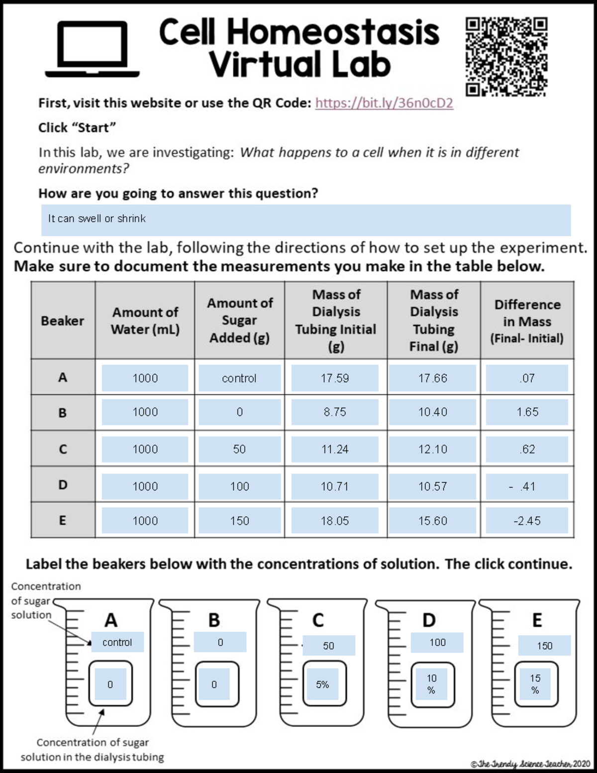 Haidyn Belton - Copy of Copy of Cell Homeostasis- Osmosis Virtual Lab ...