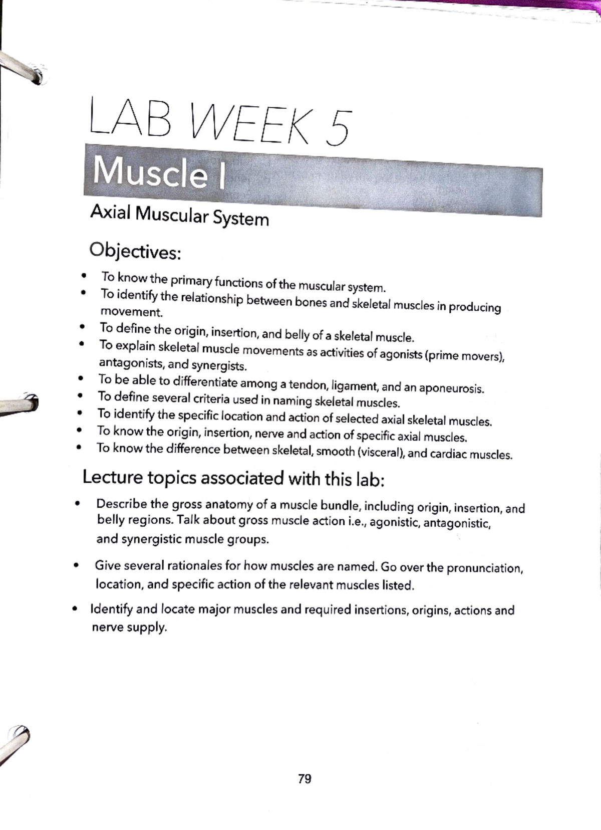 Grossman Lab 5Muscle 1 - Lab - LAB WEEK 5 Axial Muscular System Objectives: To know the primary ...