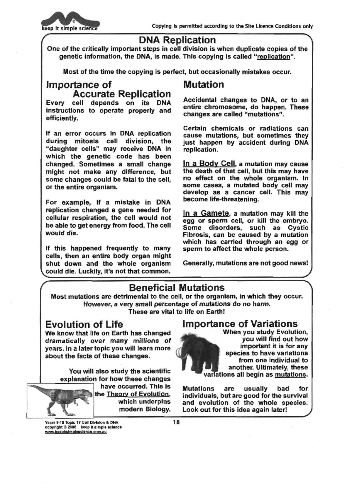 DNA Replication and Mutation Worksheet - Studocu
