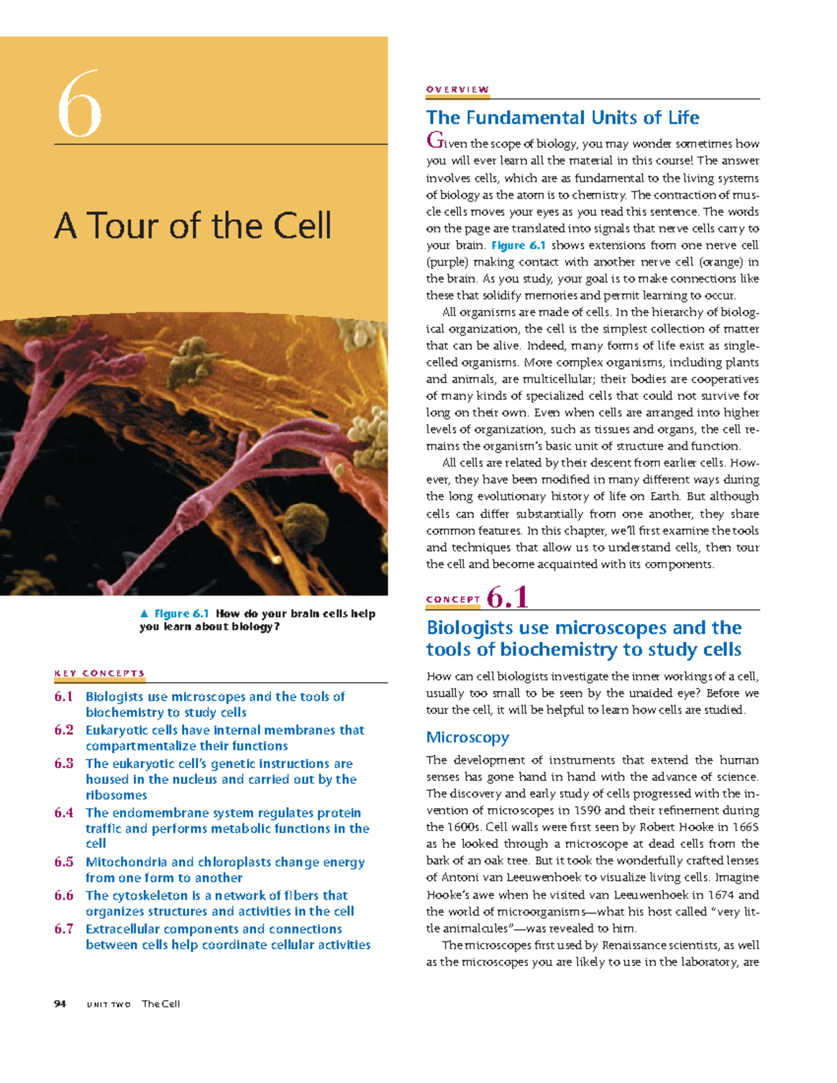 Final Exam Notes Cell Structure Function Concepts Biol 101 Studocu