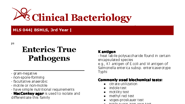 Clinical Bacteriology MLS BSMLS, 3rd Year: Enterics True Pathogens ...