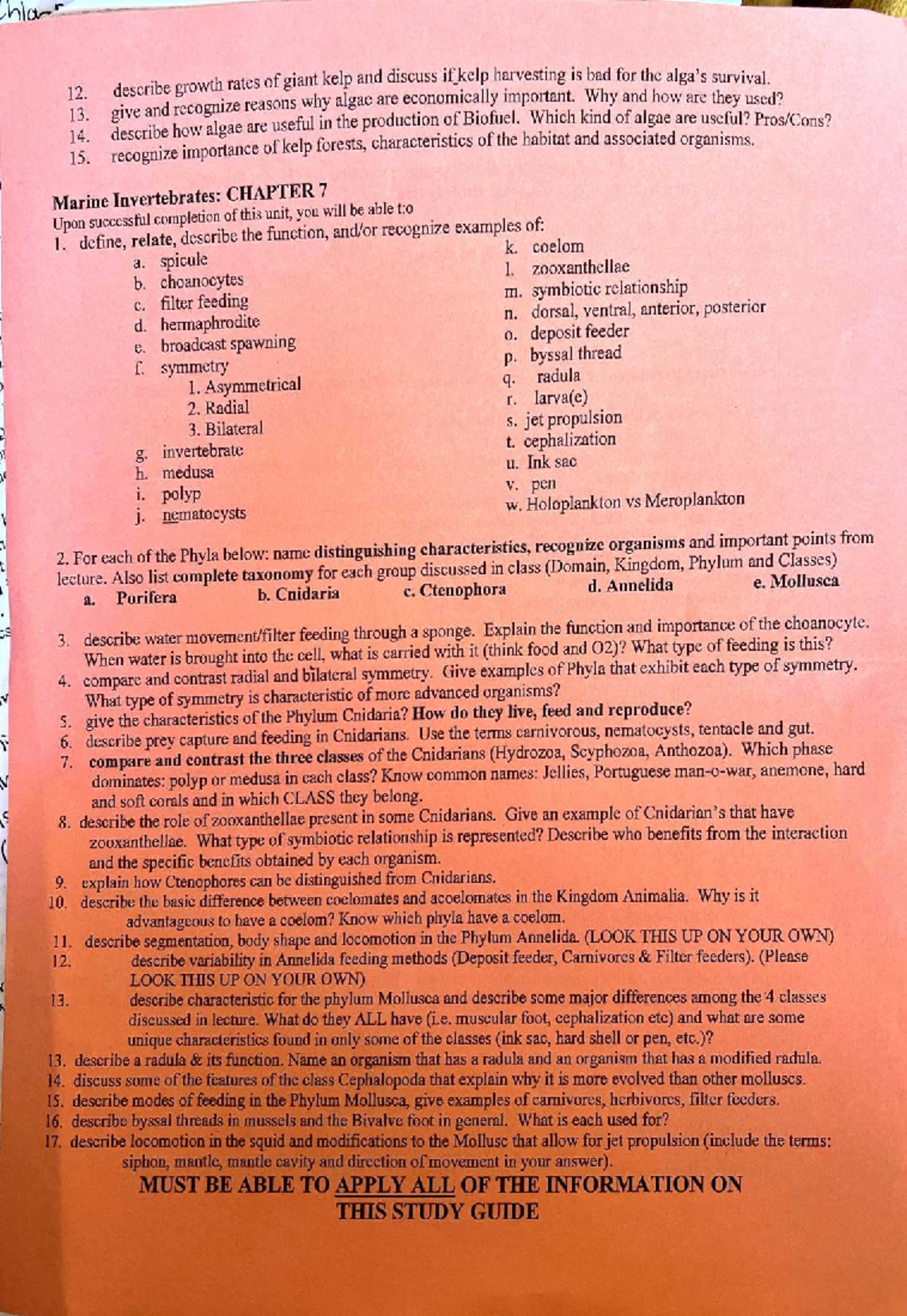 Marine Invertebrates Study Guide: Key Concepts & Exam Prep (BIOL 101 ...
