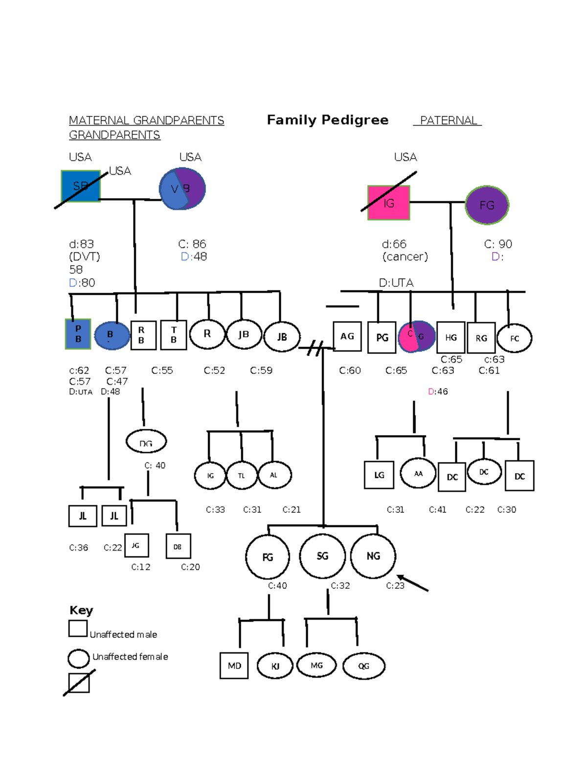 Family pedigree - Medsurg - MATERNAL GRANDPARENTS Family Pedigree ...