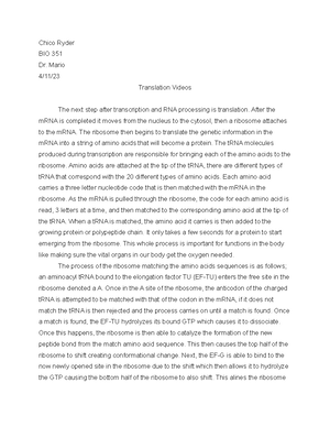 Photosynthesis Pogil - Key - BIOL 412 - Studocu