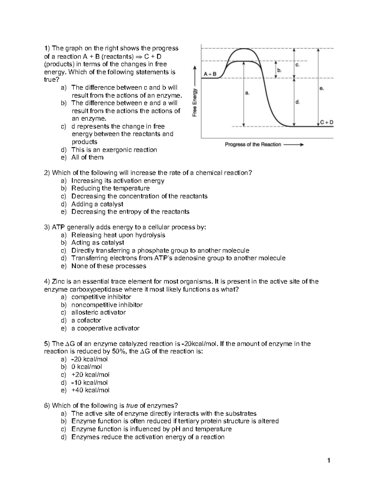 2025 BIO 101 Practice Exam 2: Enzymes & Metabolism Concepts - Studocu