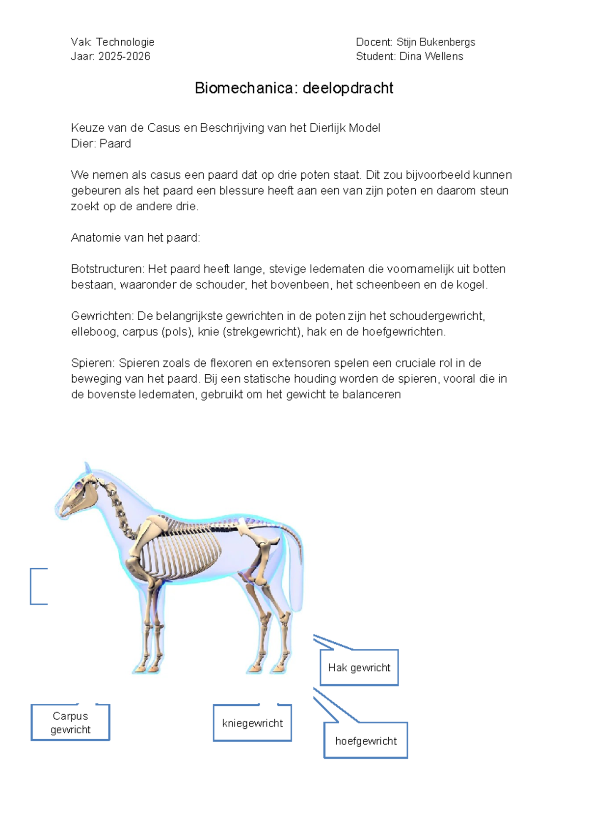 Biomechanica Deelopdracht: Casus Paard en Krachtenanalyse (Technologie ...