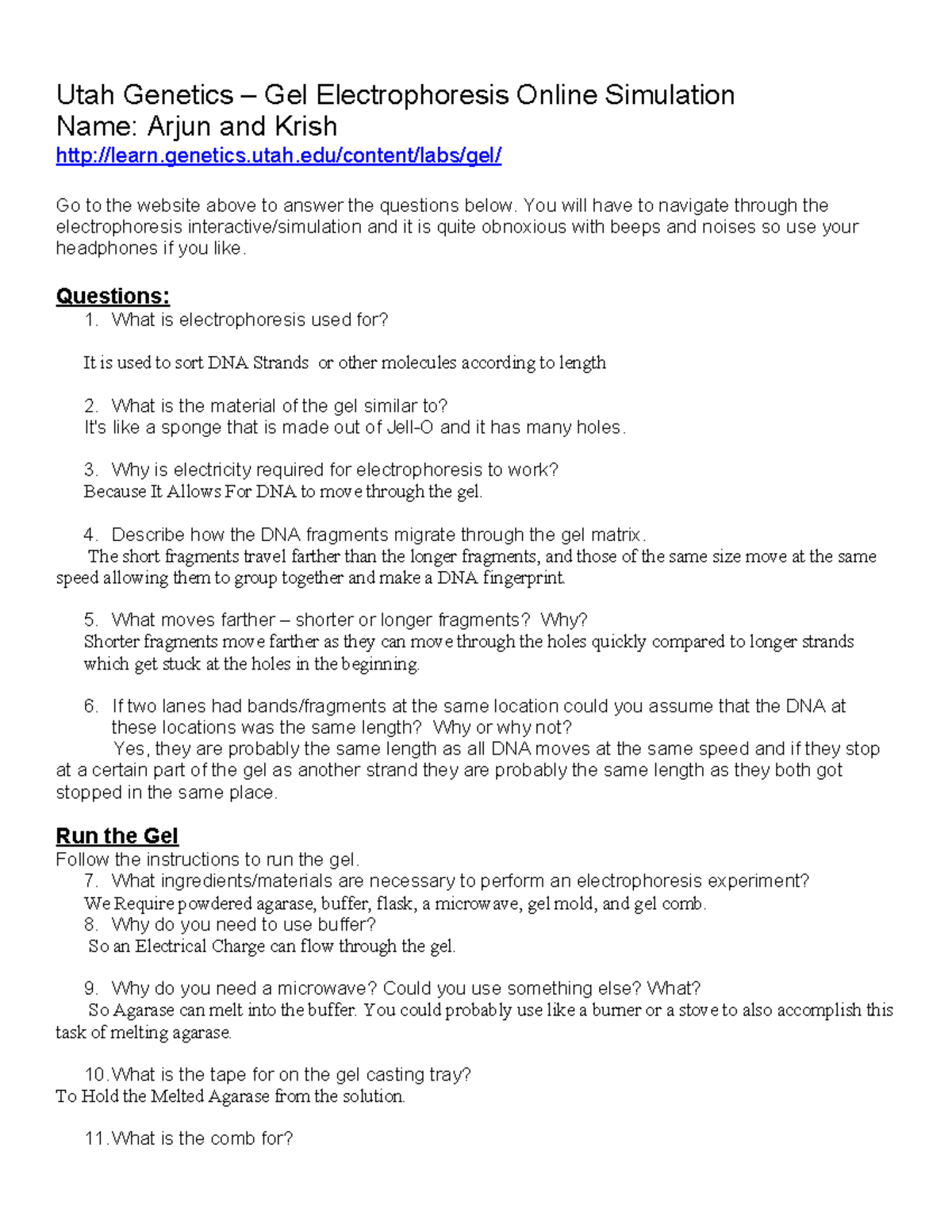 Utah Genetics Electrophoresis Webquest - Utah Genetics – Gel ...