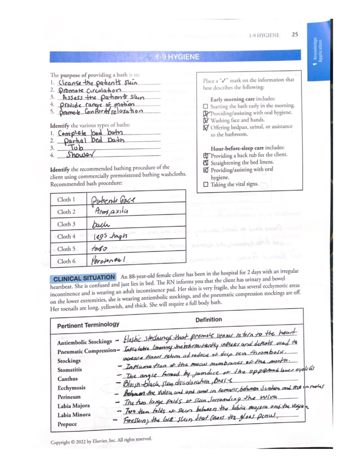 Hygiene in Nursing Care: Bathing Procedures and Patient Considerations ...