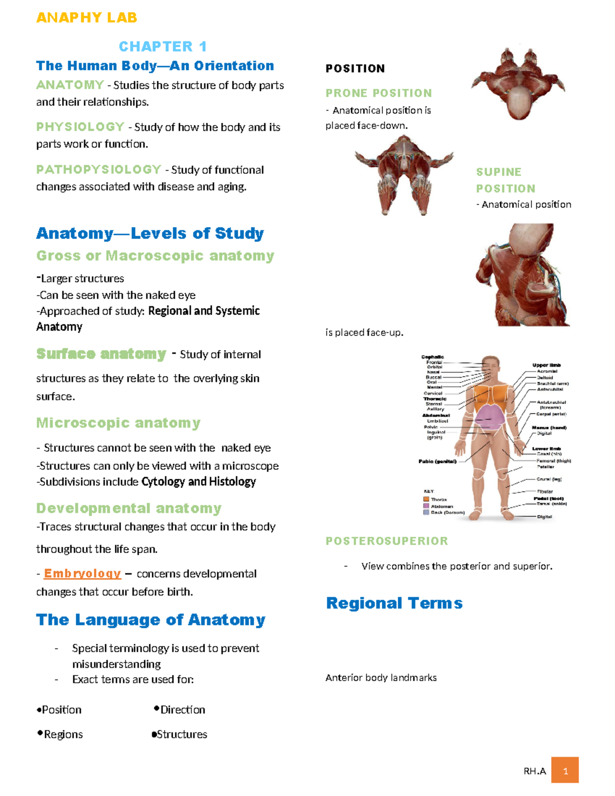 Anaphy CHPT 1 - CHAPTER 1 The Human Body—An Orientation ANATOMY ...