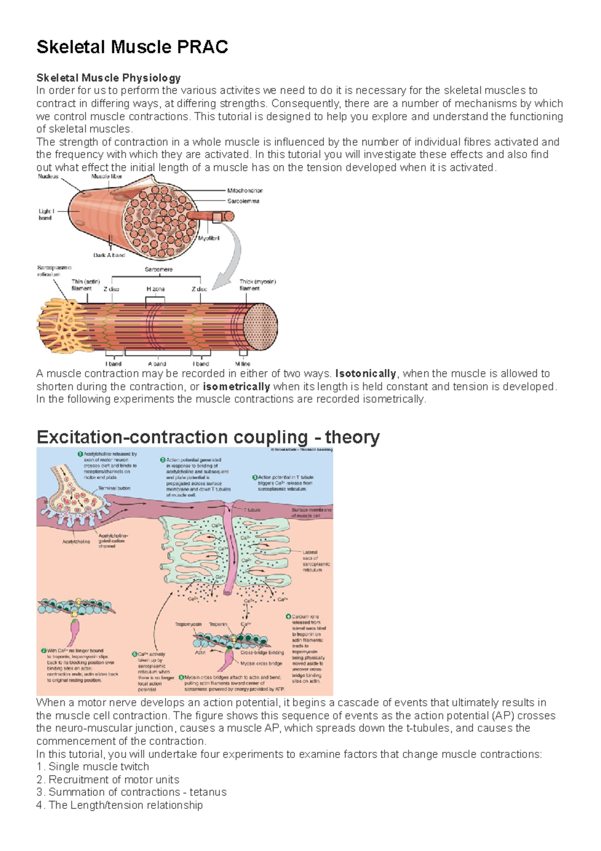 Skeletal Muscle Physiology PRAC: Investigation of Contraction ...