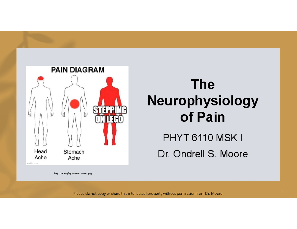 The Neurophysiology of Pain: Classifiers & Mechanisms PHYT 6110 MSK I ...