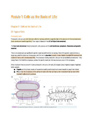 Important Diagrams in MOD 1: Animal & Plant Cell Structures - Studocu