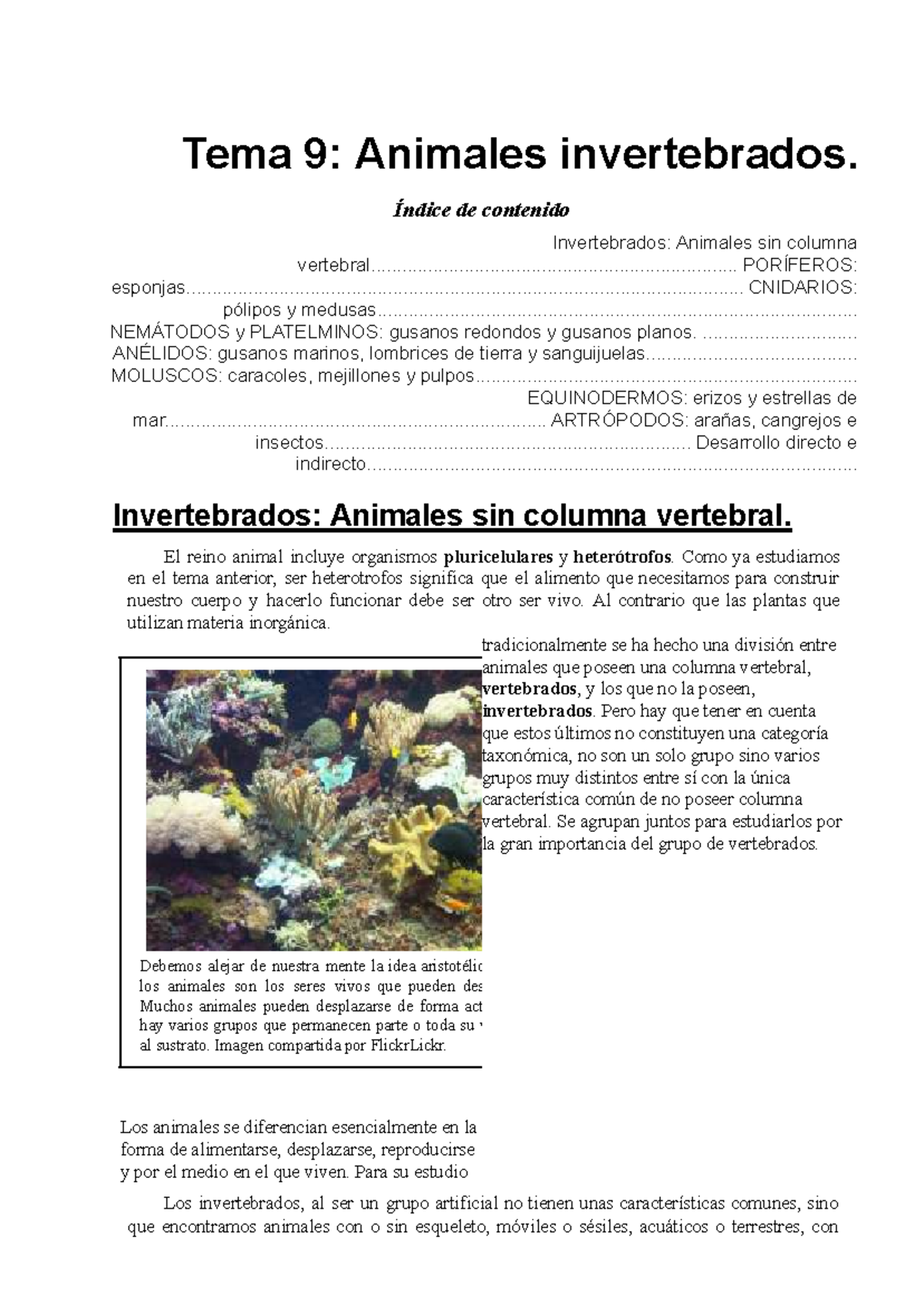 Tema 09: Animales Invertebrados - Clasificación y Características - Studocu