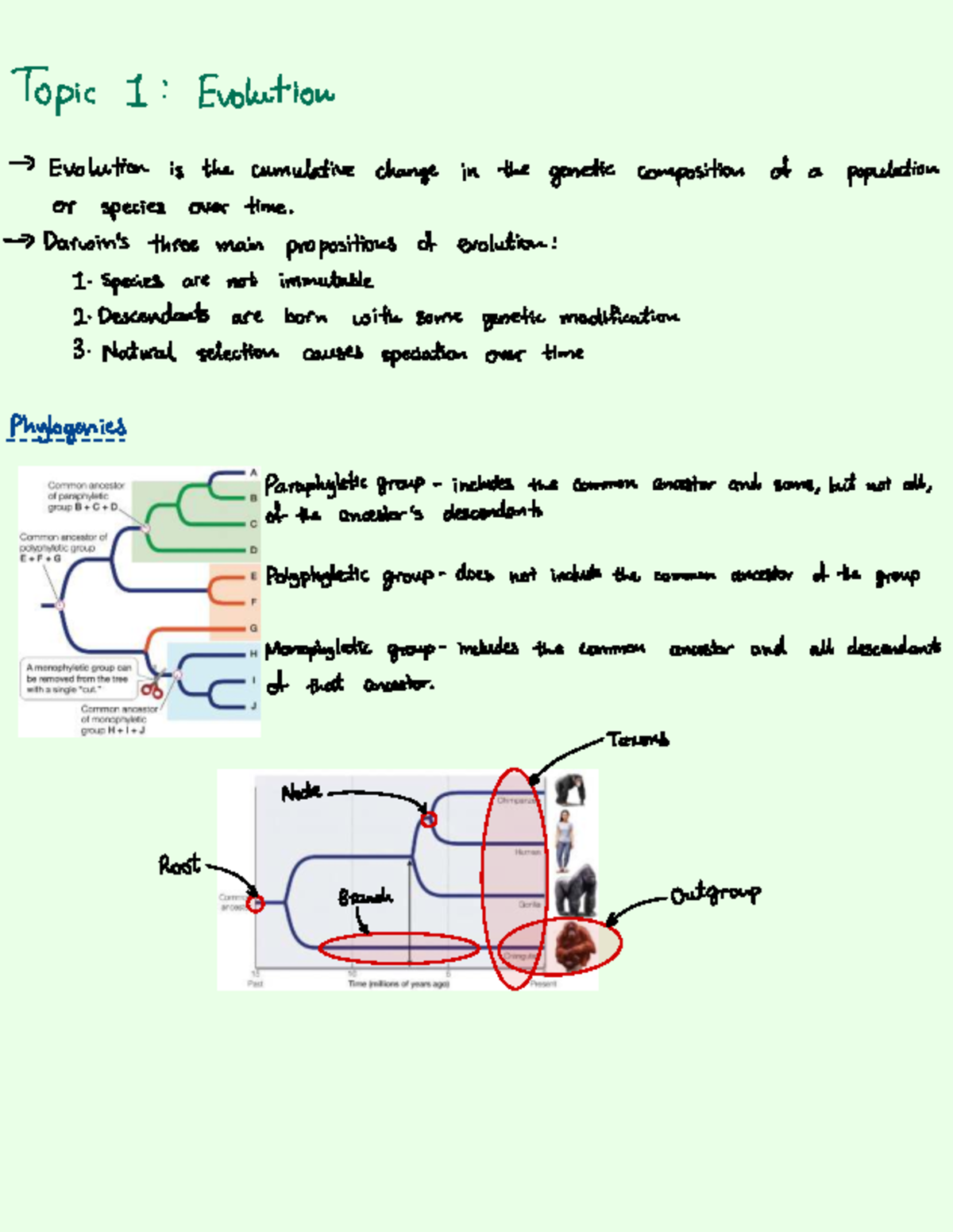 Bio Notes: Evolution, Speciation, and Ecological Interactions - Studocu