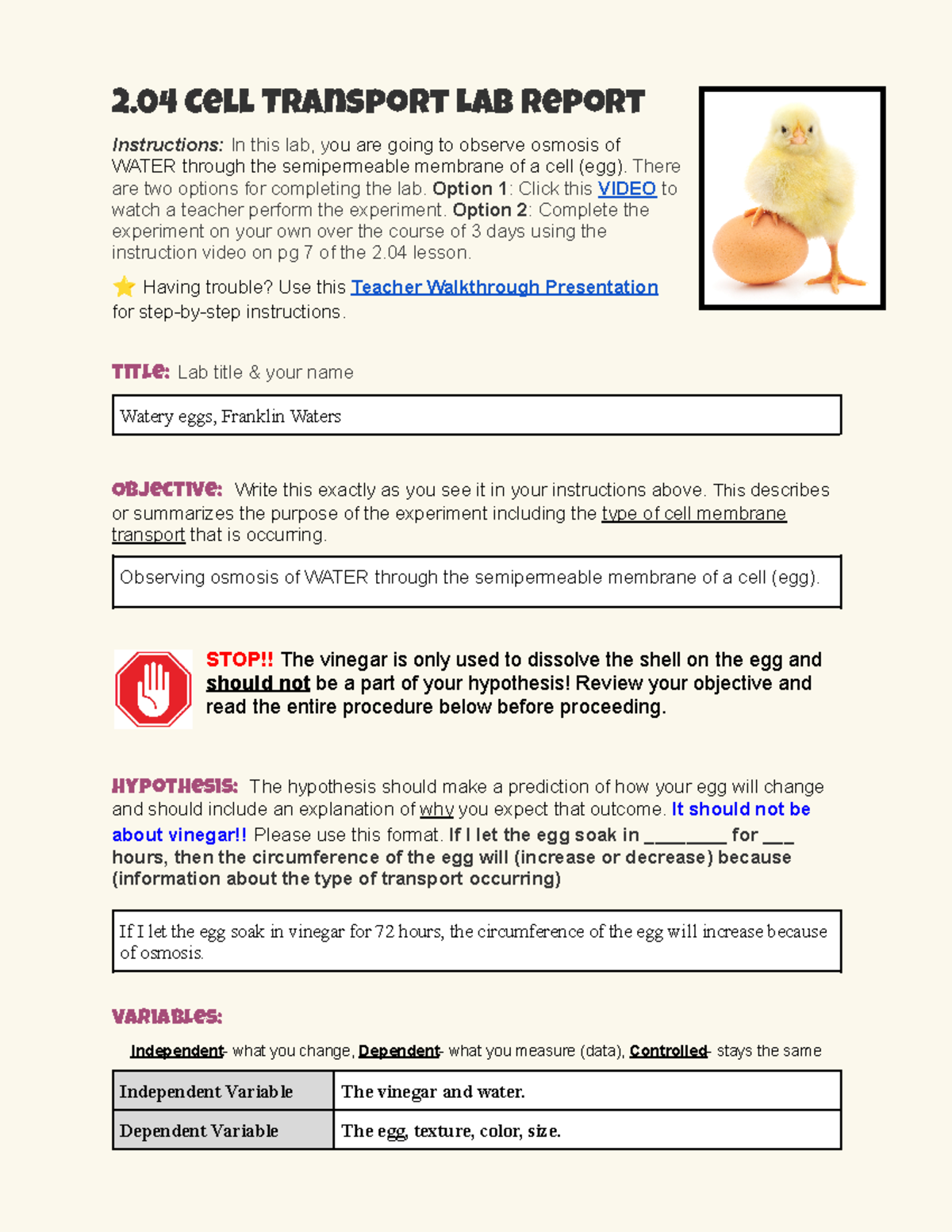 2.04 Cell Transport Lab Report on Osmosis in Egg Experiment - Studocu