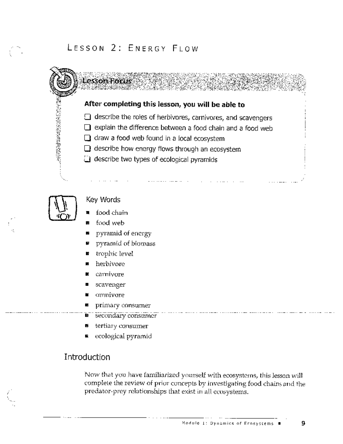 Energy Flow class notes - LESSON 2 : ENERGY FLOW Lesson Focus After ...