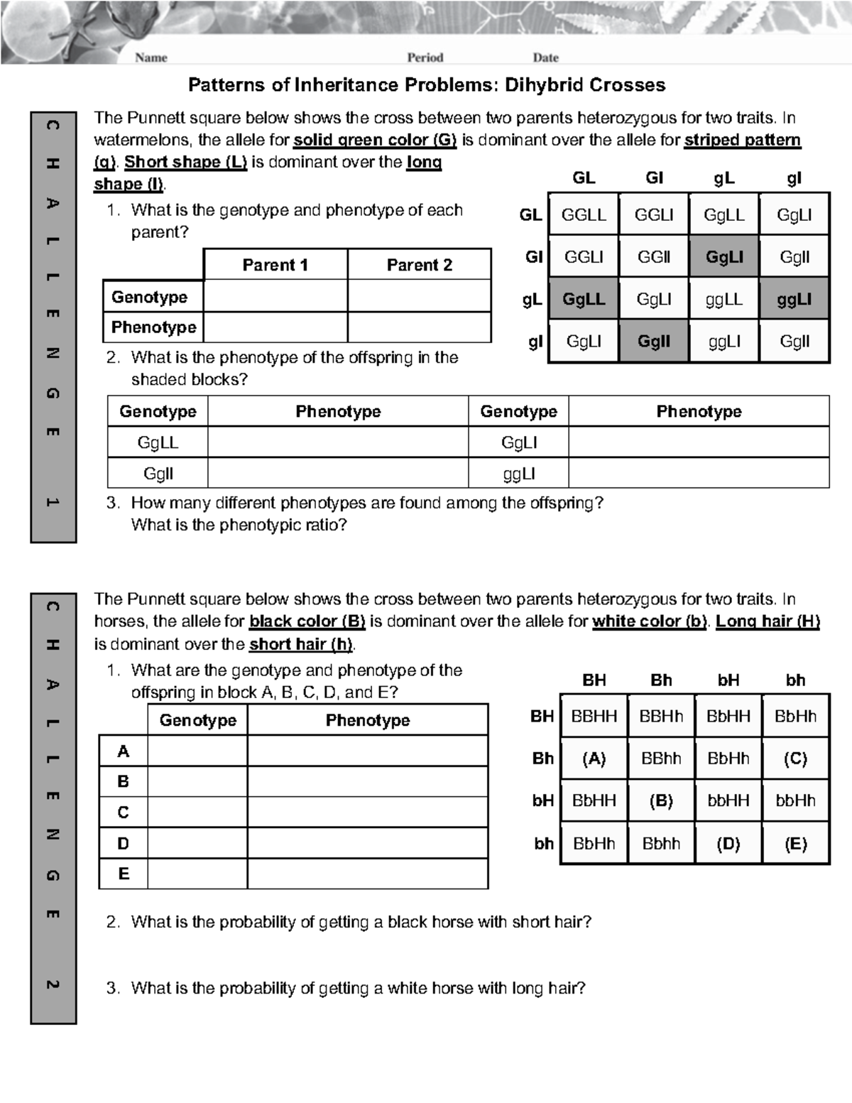 Dihybrid Cross Problems - Patterns of Inheritance Problems: Dihybrid ...