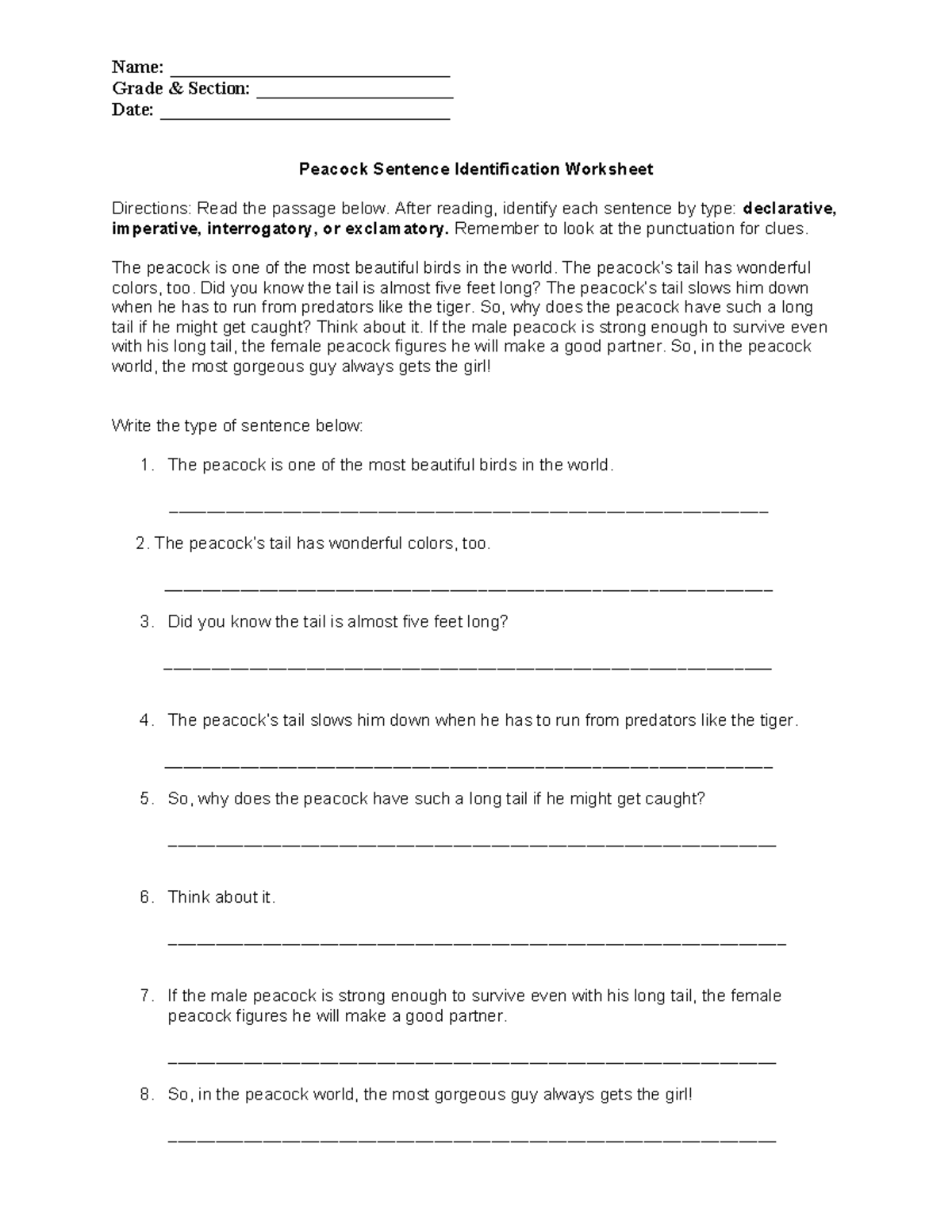 Peacock Worksheet Helpful For Practice Teaching Name Grade