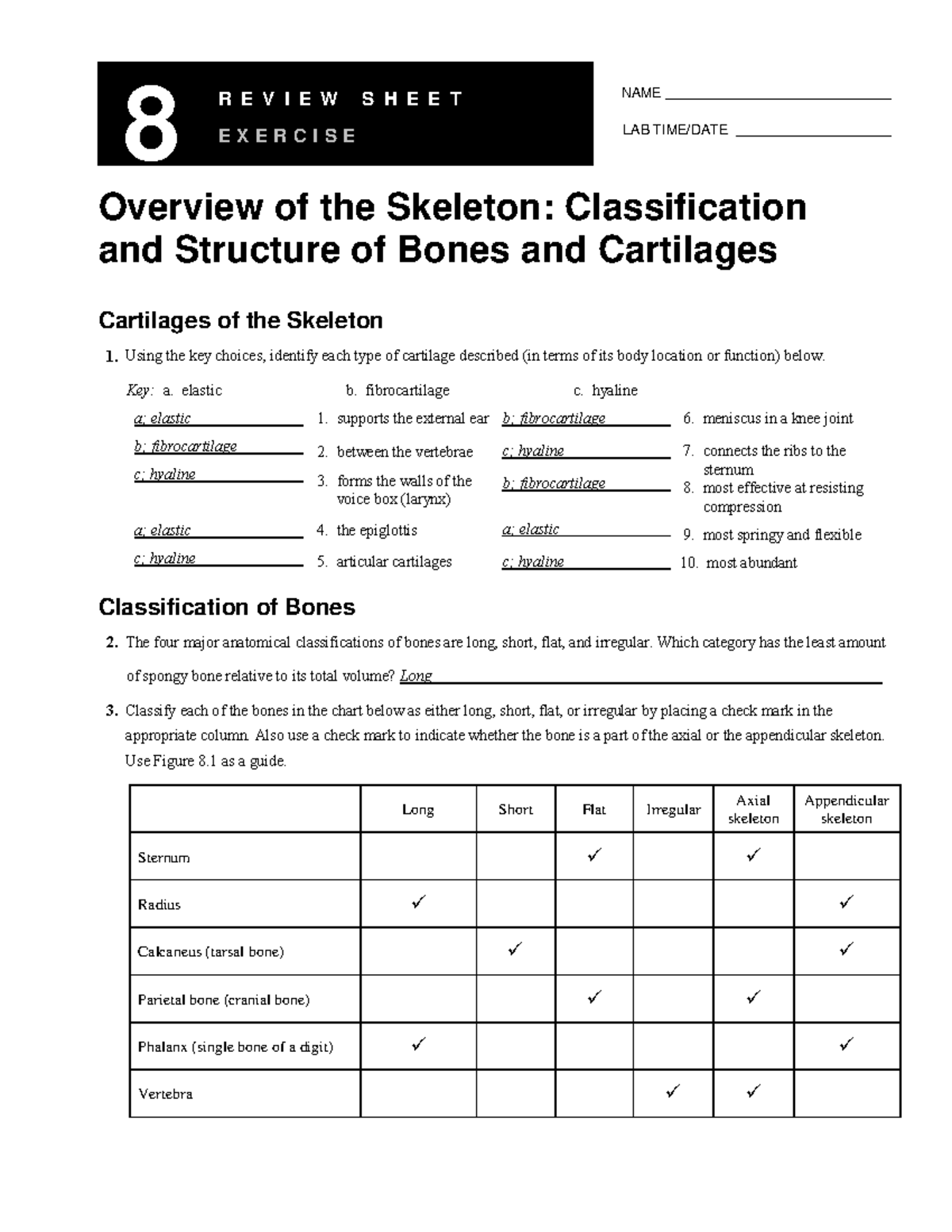 BIOL 101 Final Exam Review Sheet: Skeleton, Bones, and Cartilages - Studocu