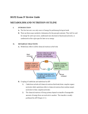 The Living Body documentary worksheet - Name: Starla Ries Date: 4/3 ...