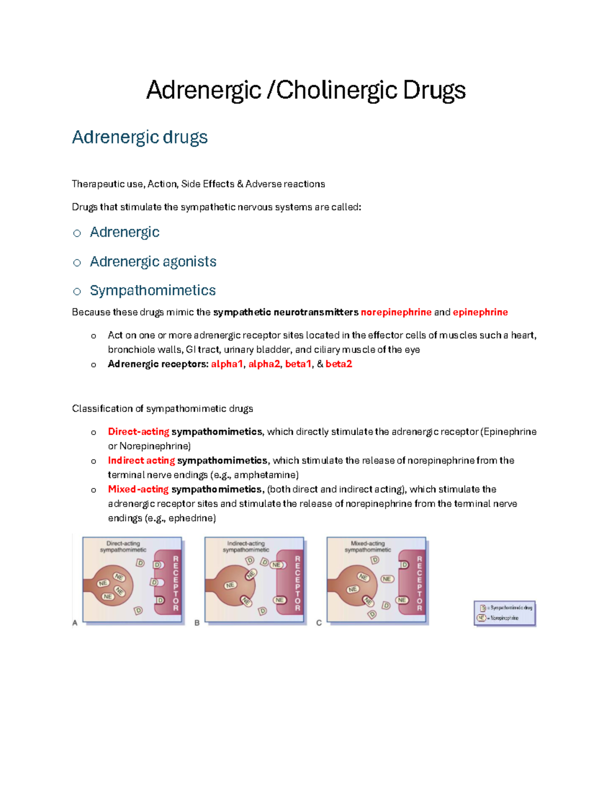Cholinergic and Adrenergic Drugs: Mechanisms, Uses & Nursing ...